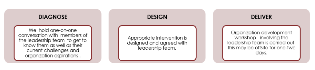 Organization Culture Development – HR Lead Partners